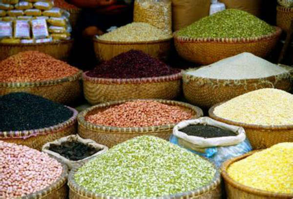 Transport & Marketing Assistance Scheme for Promoting Agricultural ...